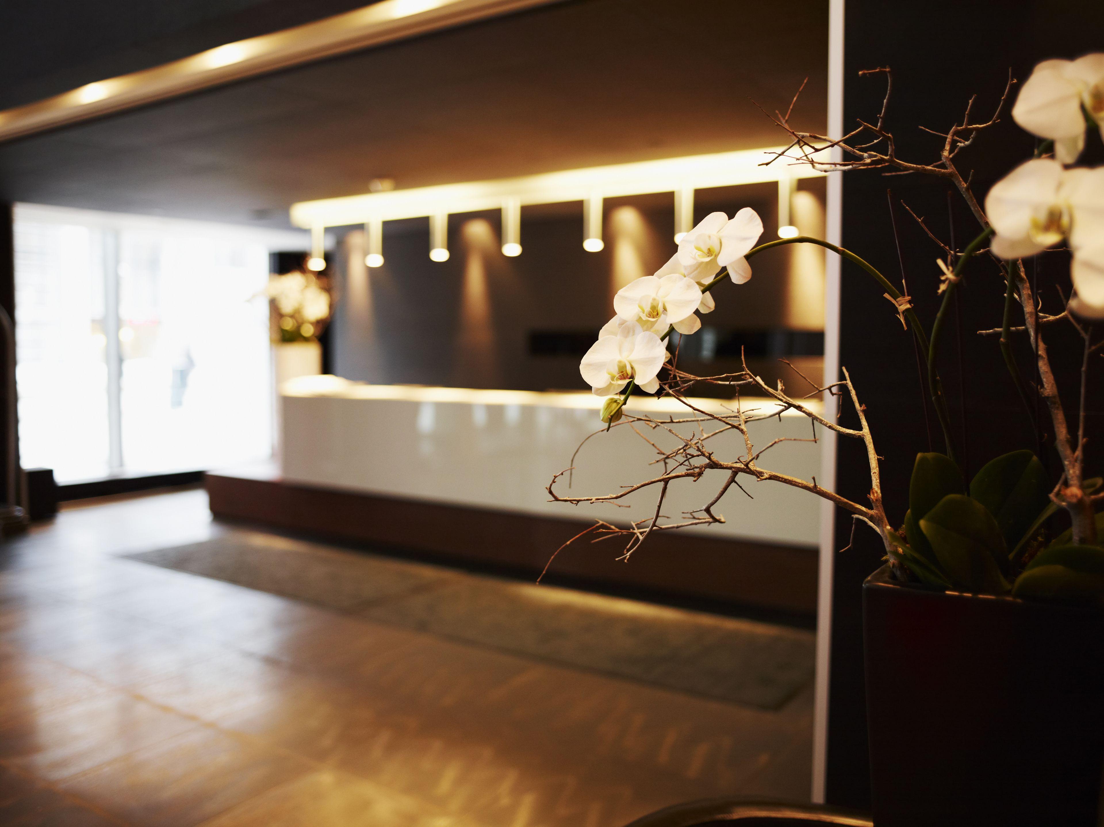 LE GERMAIN HOTEL MAPLE LEAF SQUARE TORONTO - BOOK 4-STAR ACCOMMODATION ...